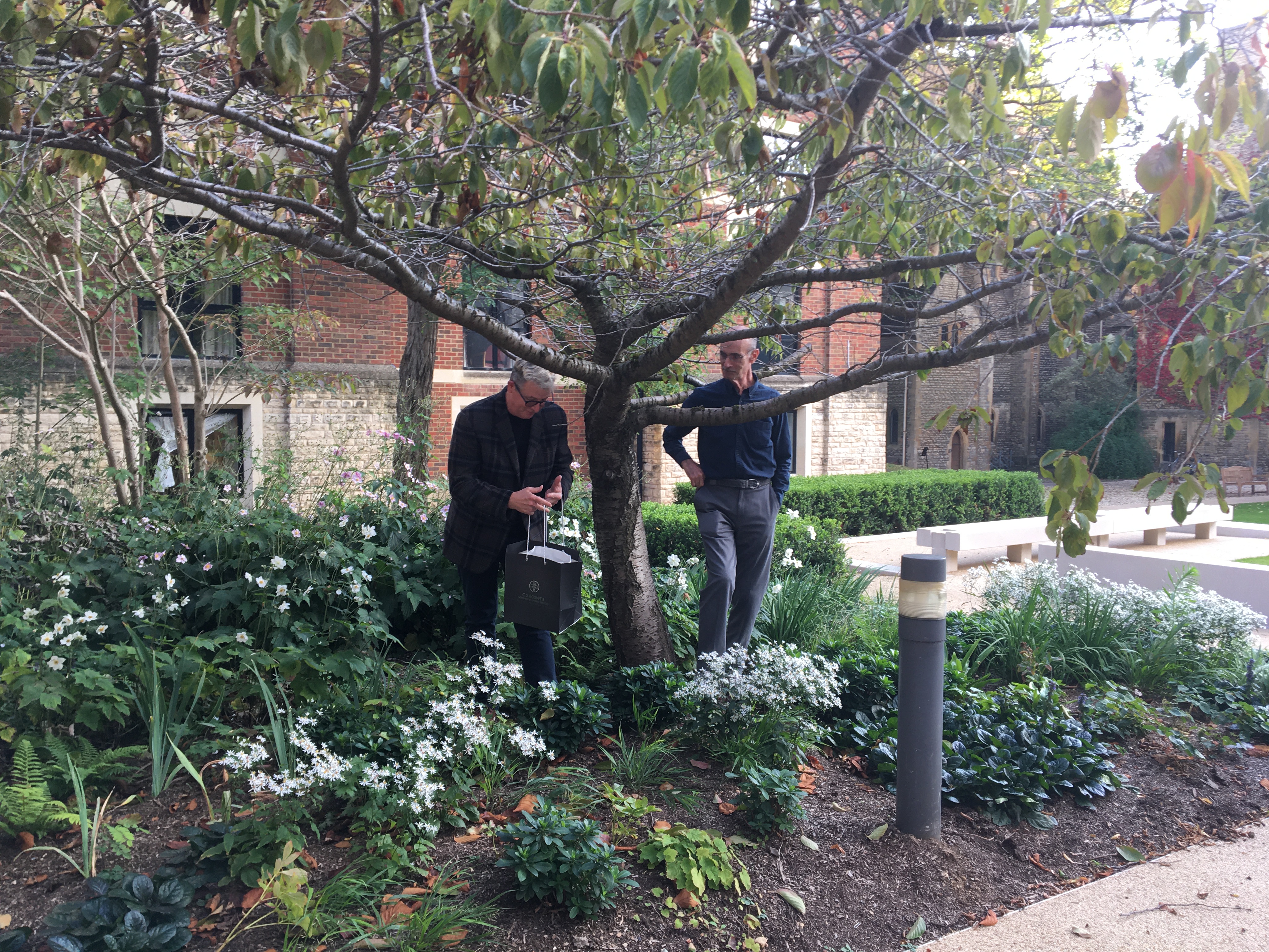 Remembering Ann Waswo | Nissan Institute of Japanese Studies